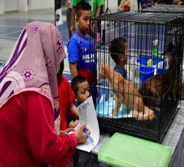 Sekitar Program Kembiri Kucing Dalam Kawasan MBJB anjuran bersama ...